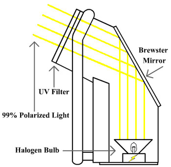 Bioptron Device Structure