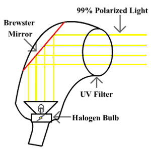 Bioptron Device Structure