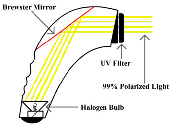 Bioptron Device Structure